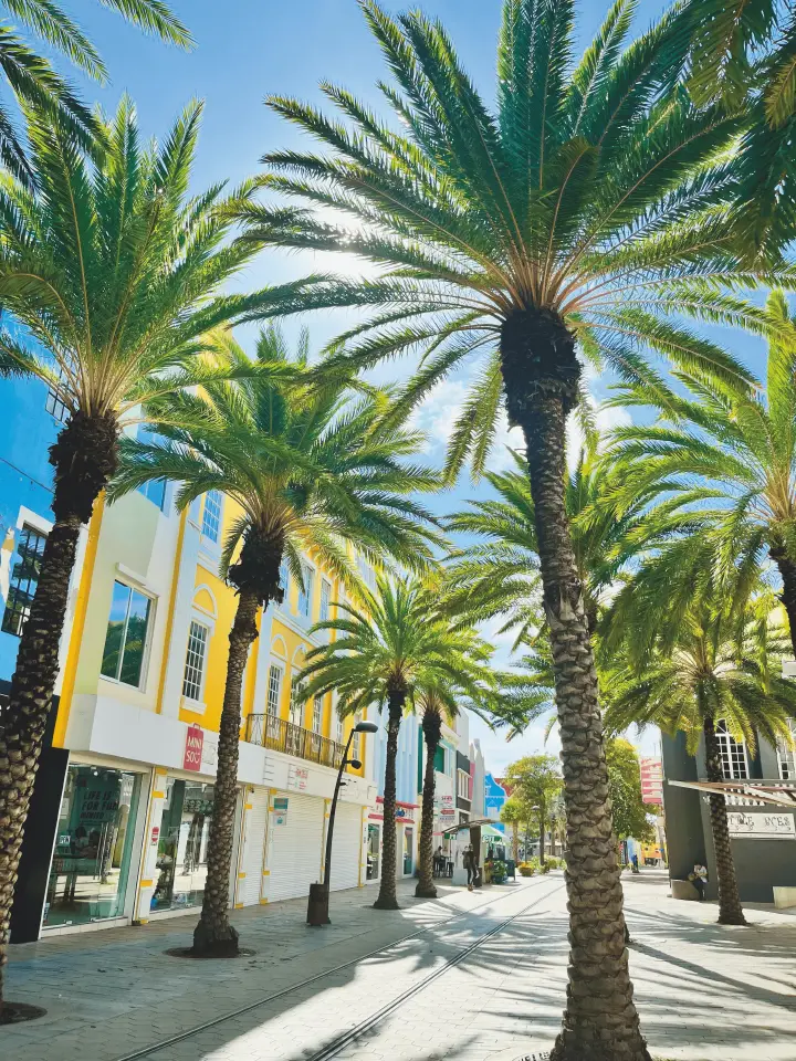 Culture | My Aruba Guide