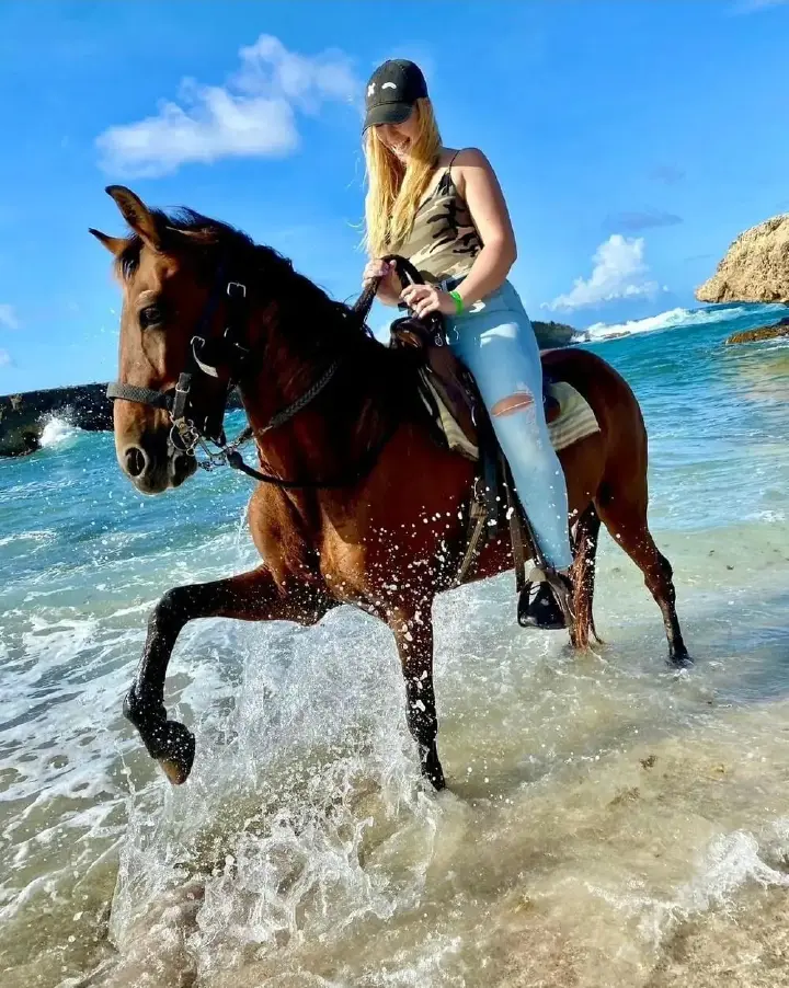 History of Aruba | My Aruba Guide The Complete Island Guide