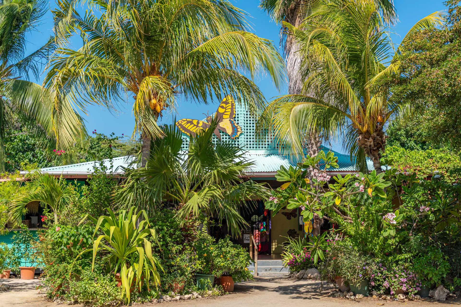 The Butterfly Farm in Aruba | Tropical Garden Tours & Cafe