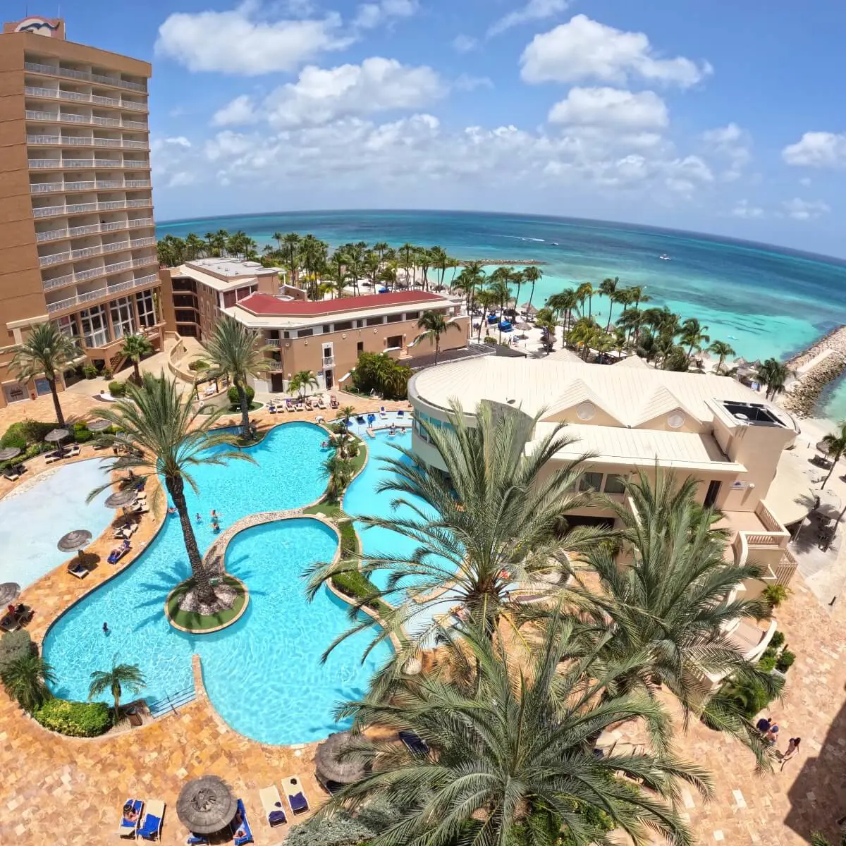 Divi Aruba Phoenix Beach Resort - My_Aruba_Guide