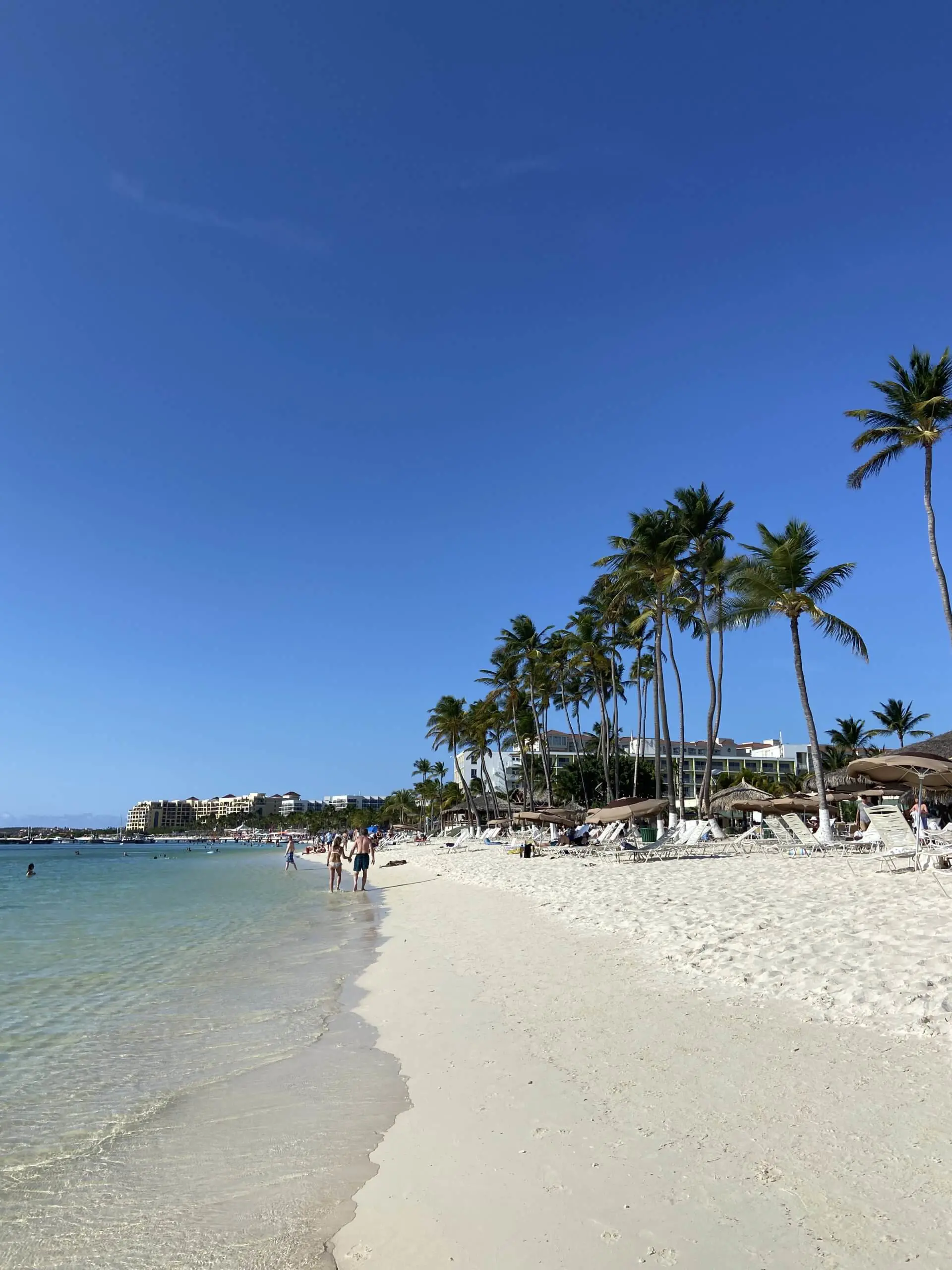 Palm Beach - My_Aruba_Guide