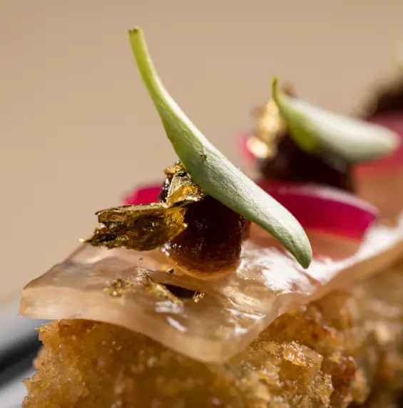 Infini - My_Aruba_Guide