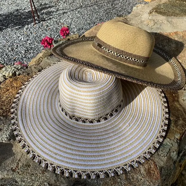 Juggling Fish - My_Aruba_Guide