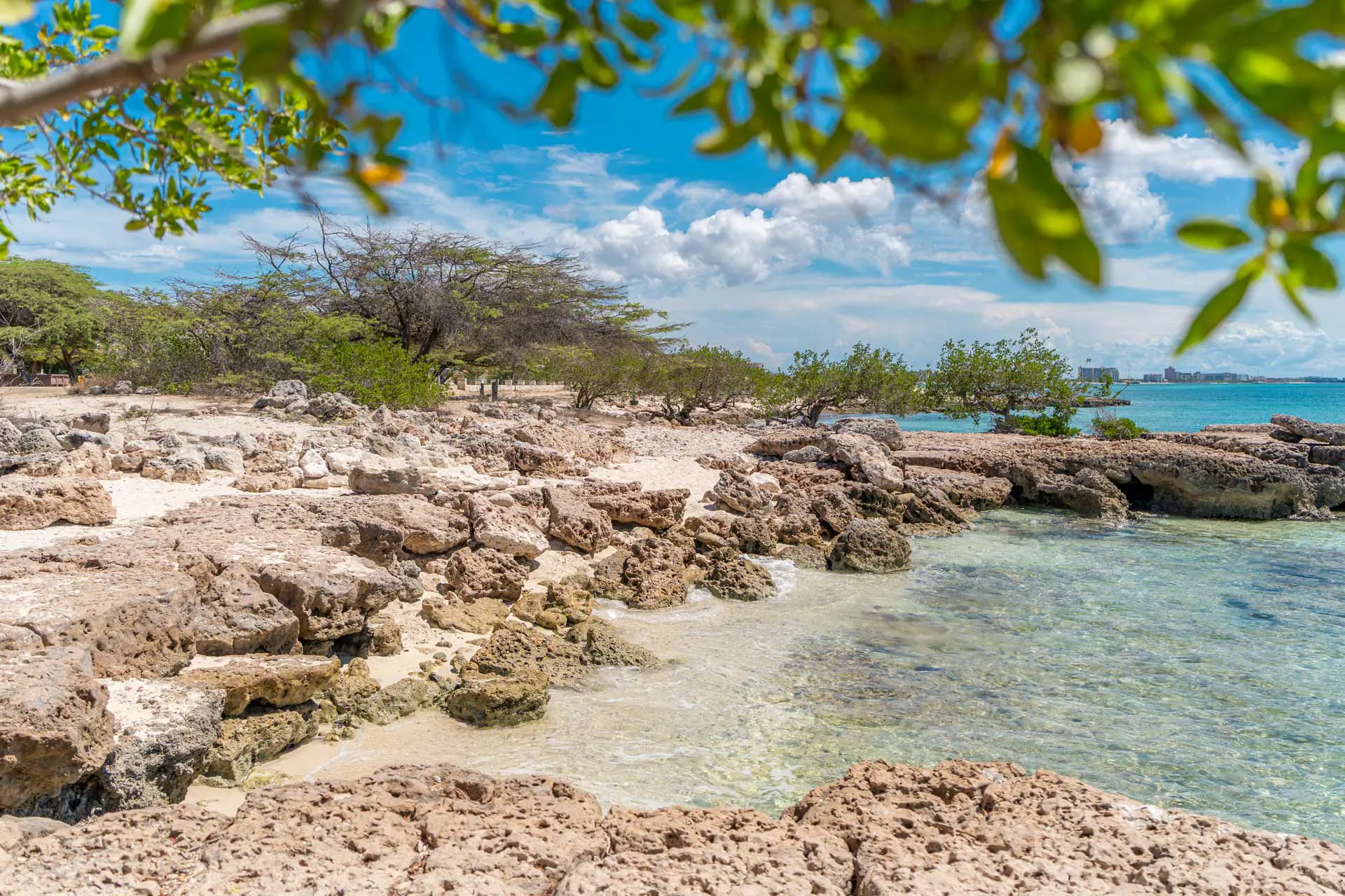 Malmok Beach - My_Aruba_Guide