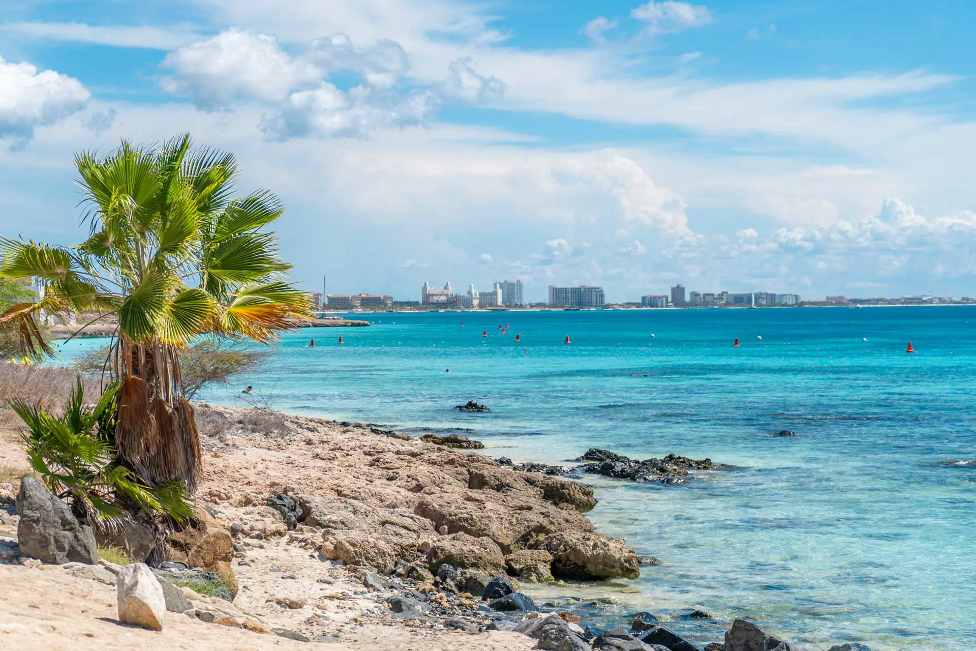 Playa Malmok en Aruba | Qué ver y hacer allí