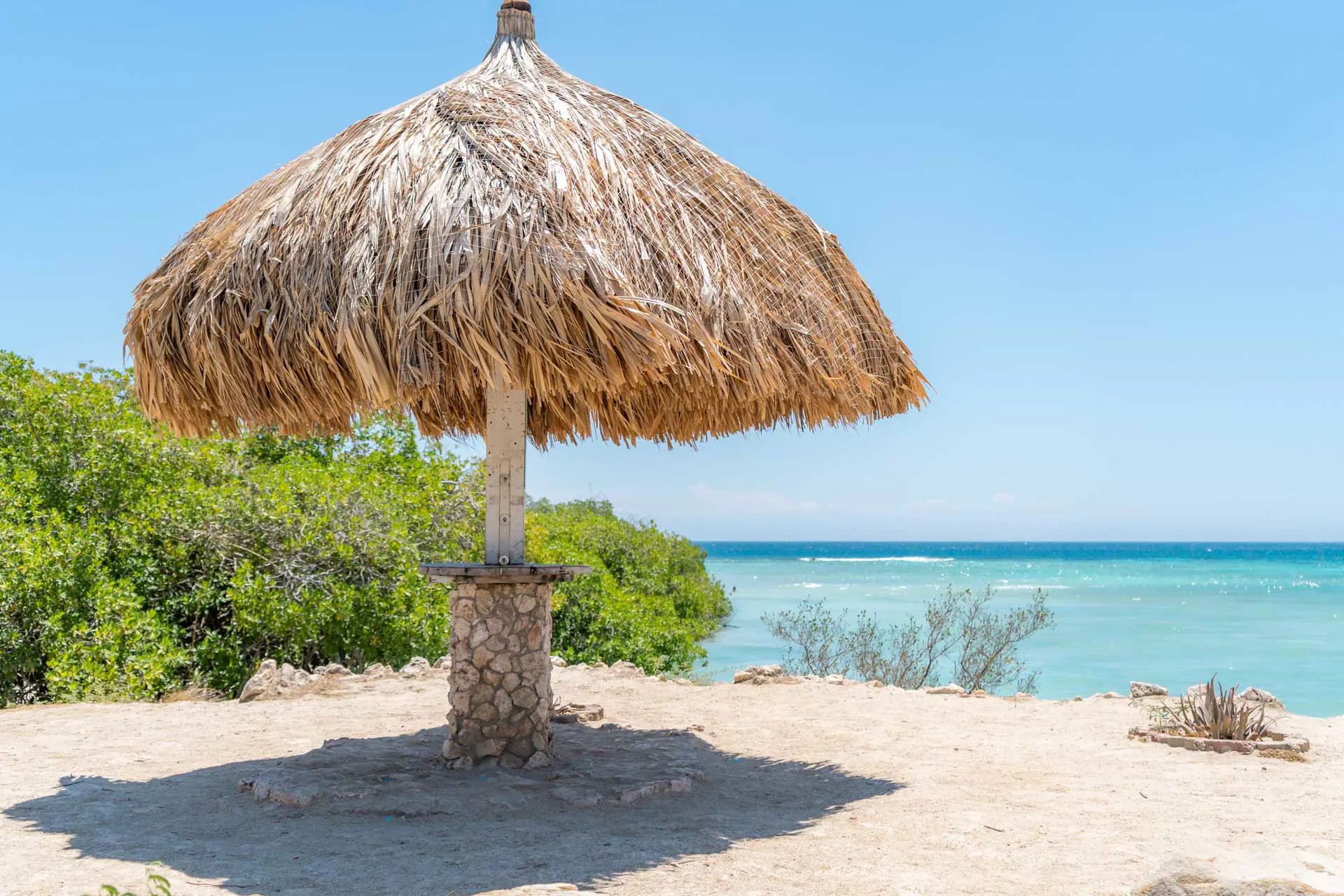 Mangel Halto Beach in Aruba | Snorkeling and Mangroves