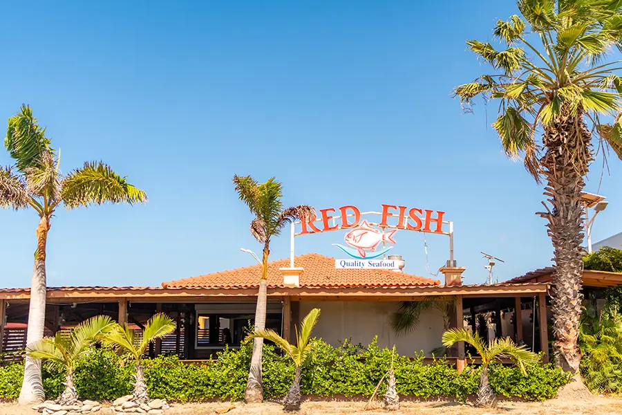 Red Fish - My_Aruba_Guide