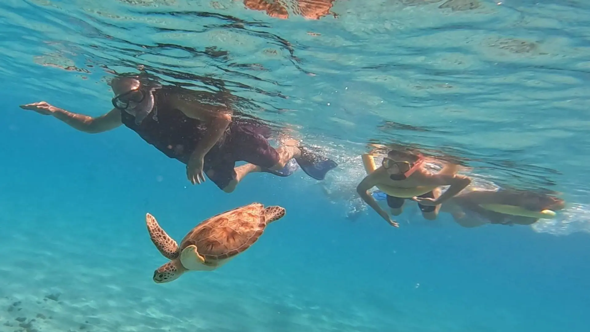 Delta Airline Flights to Aruba | The Complete Island Guide
