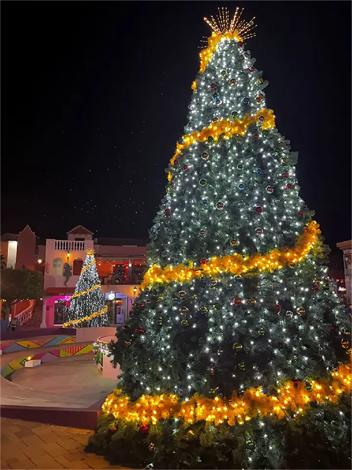 Aruba Events Calendar - My Aruba Guide